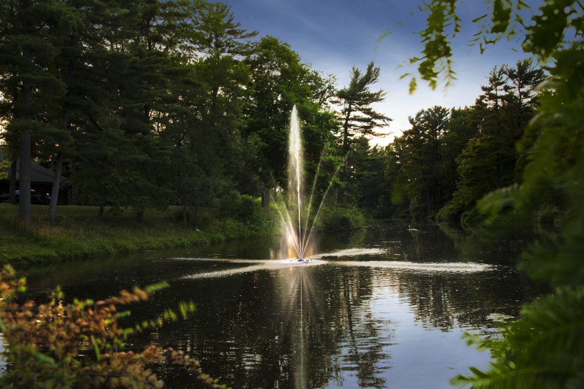 Scott Clover. 1/2 HP, 115-volt - Fountain Tech