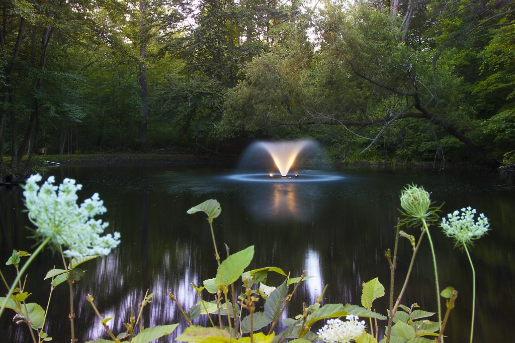Scott Aerator Display Fountain 1/2HP