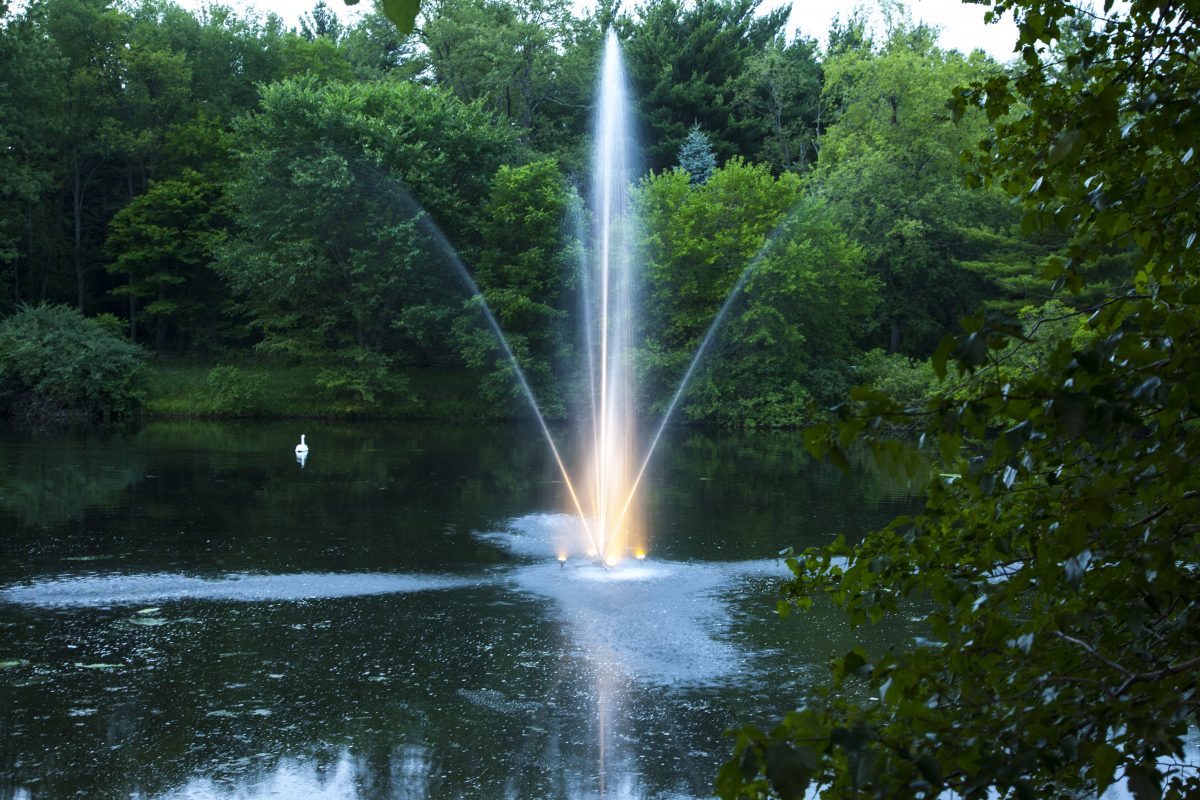 Scott Clover. 1/2 HP, 115-volt - Fountain Tech