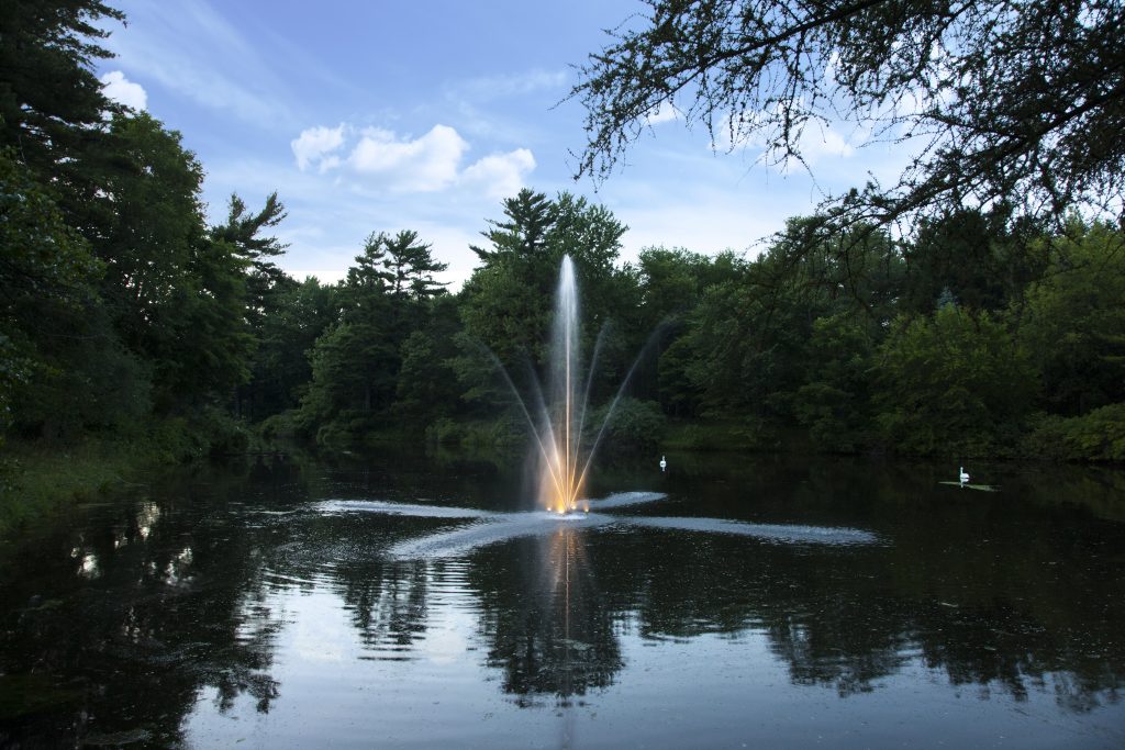 Scott Clover. 1/2 HP, 115-volt - Fountain Tech