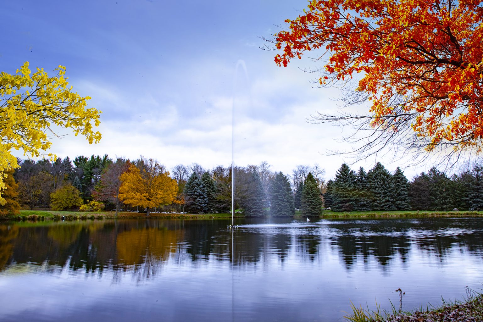 Scott Jet Stream 3HP, 230v - Fountain Tech