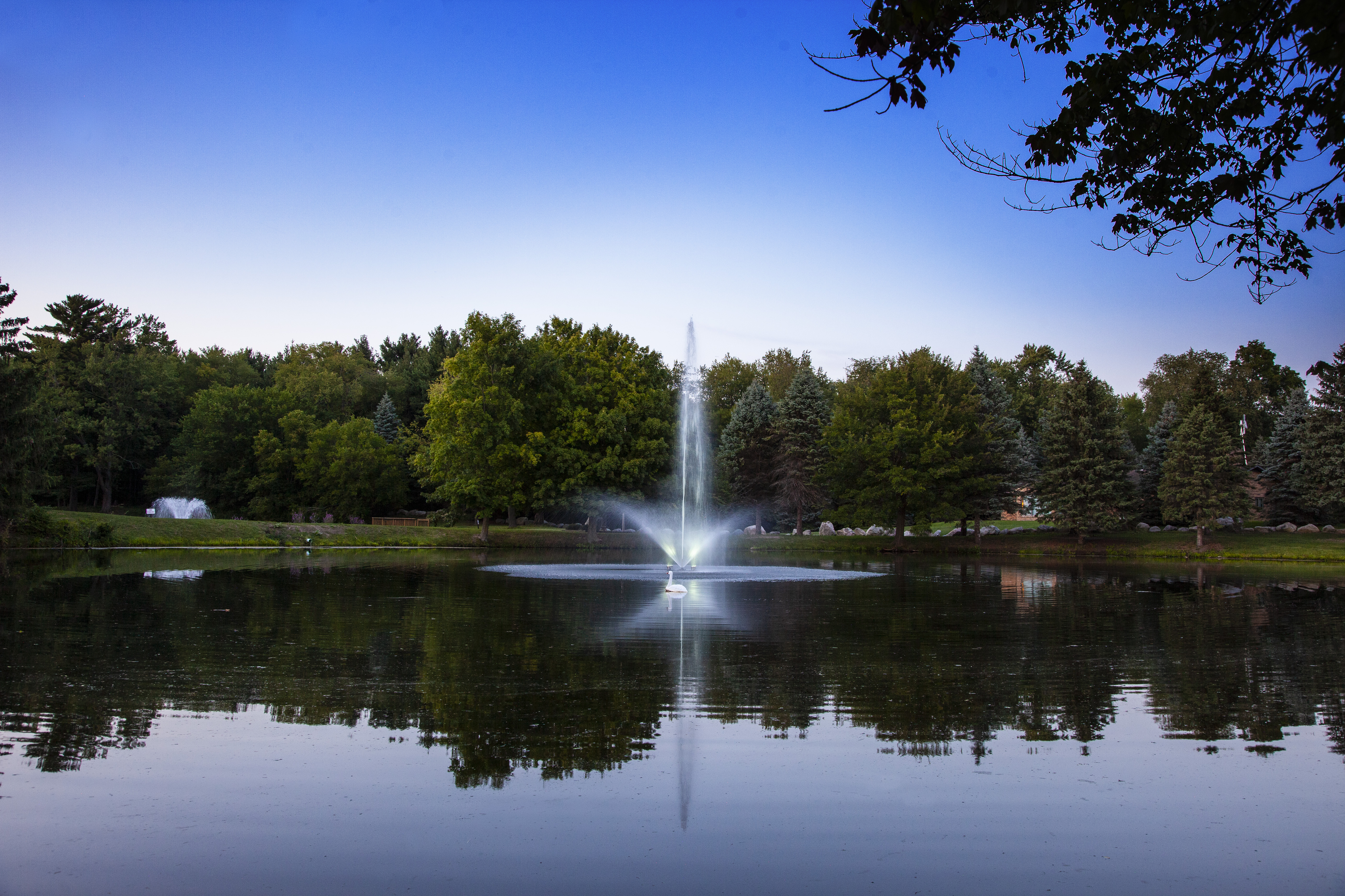 Scott Skyward 1½ HP, 230v - Fountain Tech