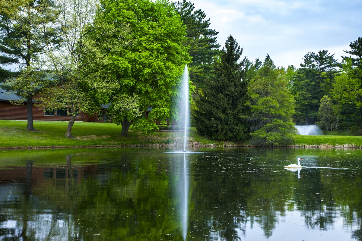 Scott Clover 1 1/2 HP - Fountain Tech