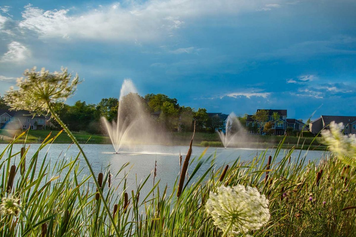 Scott Atriarch 1½ HP, 230v - Fountain Tech